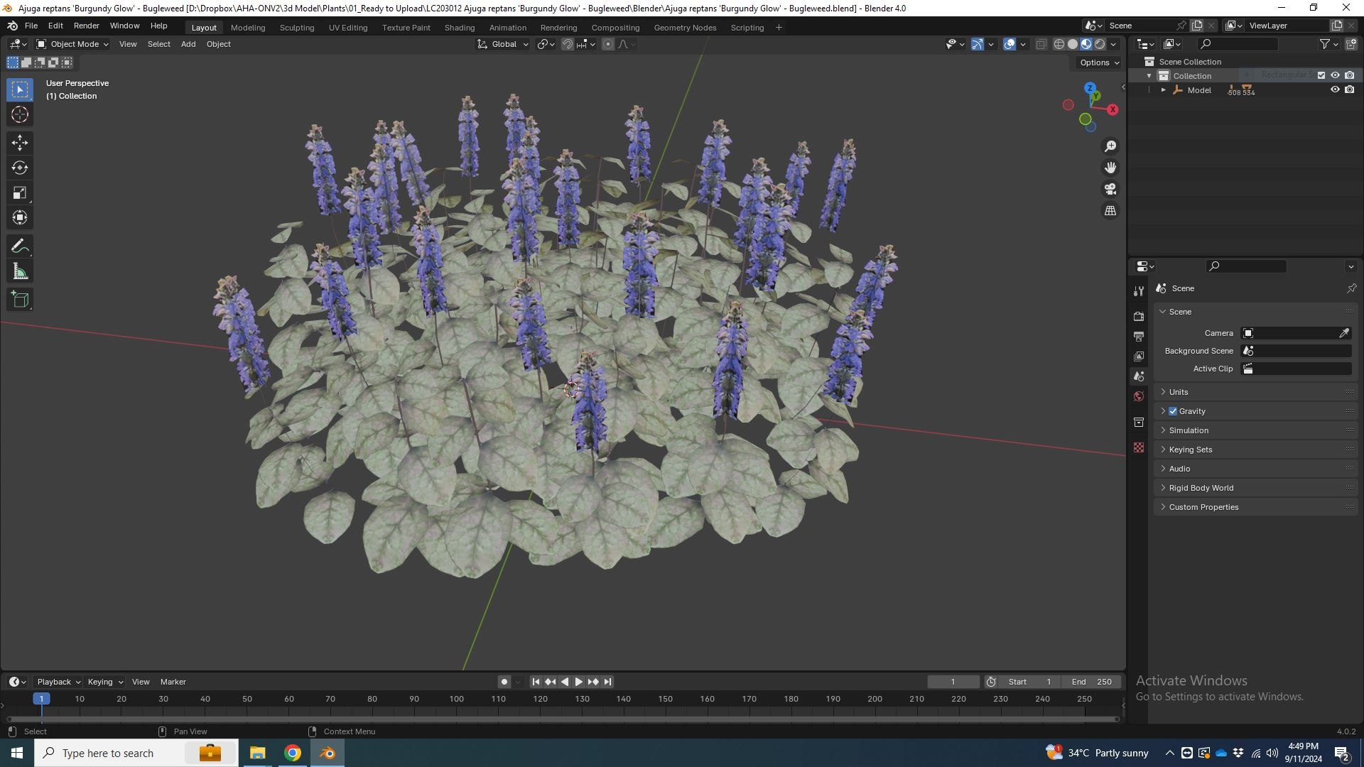 Ajuga Reptans Burgundy Glow Bugleweed 3D Model - TurboSquid 2279956