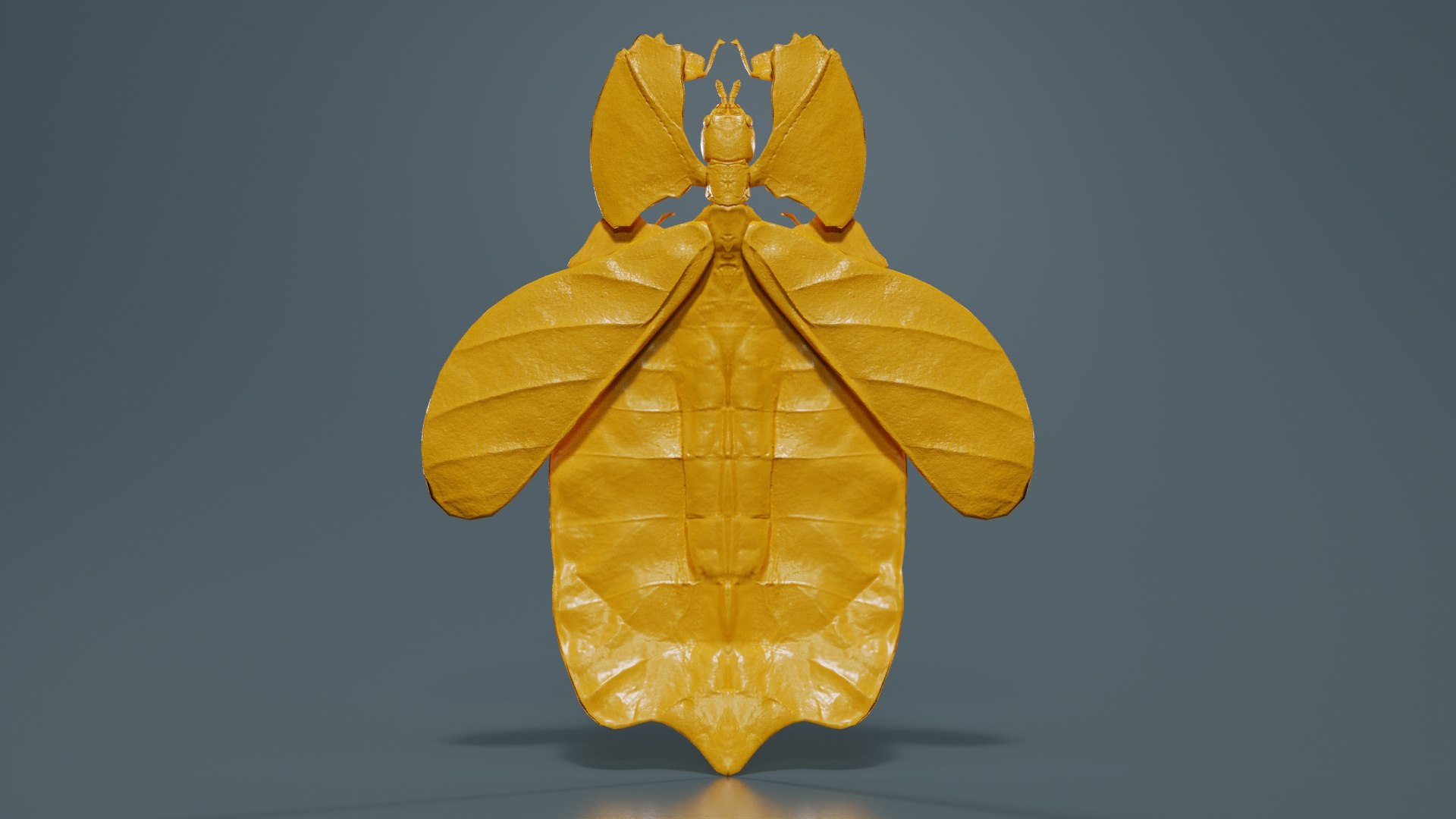 Walking Leaf Phylliidae Leaf Insect Remastered 3D Model - TurboSquid ...