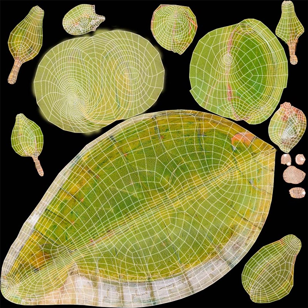 Walking Leaf Phylliidae Leaf Insect Remastered 3D Model - TurboSquid ...