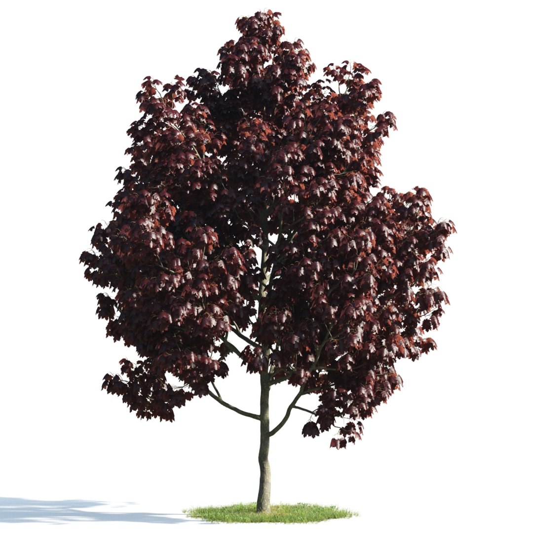 max archmodels vol 176 trees