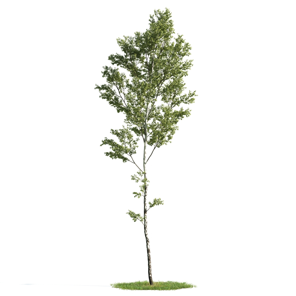 max archmodels vol 176 trees