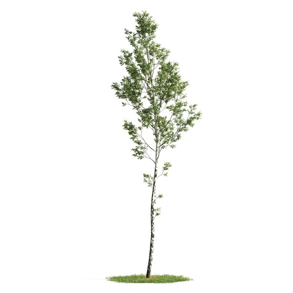 max archmodels vol 176 trees