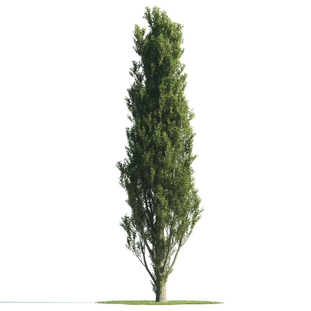 max archmodels vol 176 trees