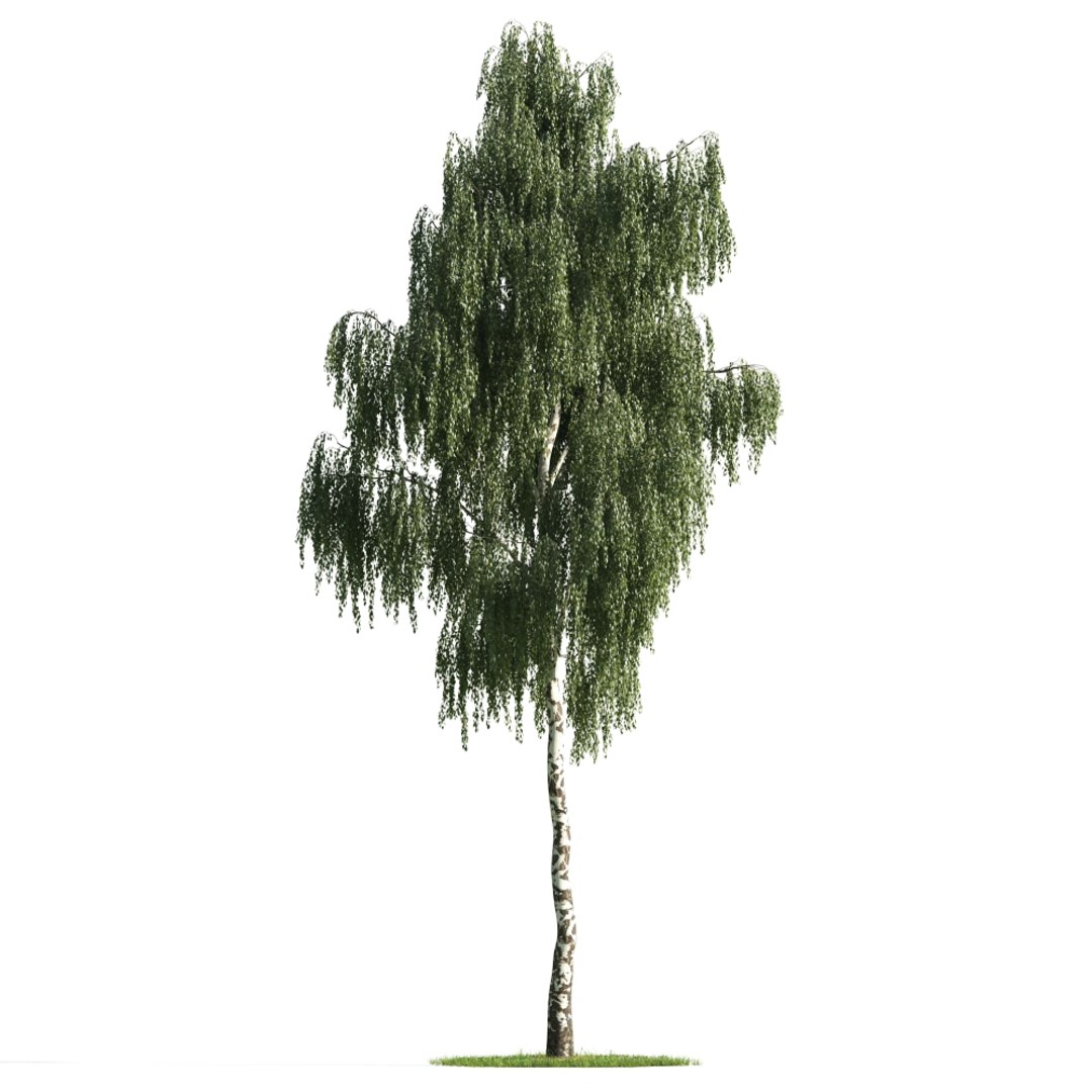 max archmodels vol 176 trees