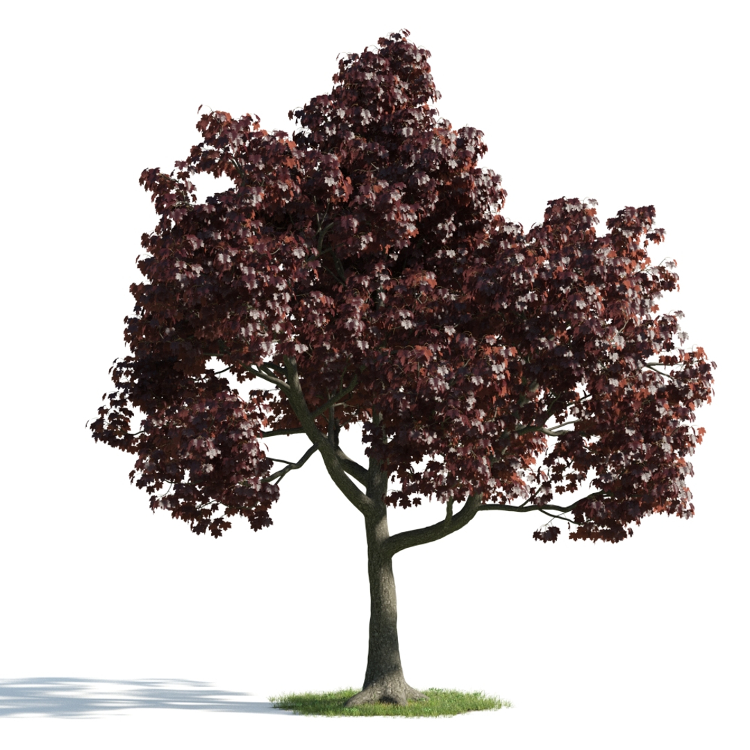 max archmodels vol 176 trees