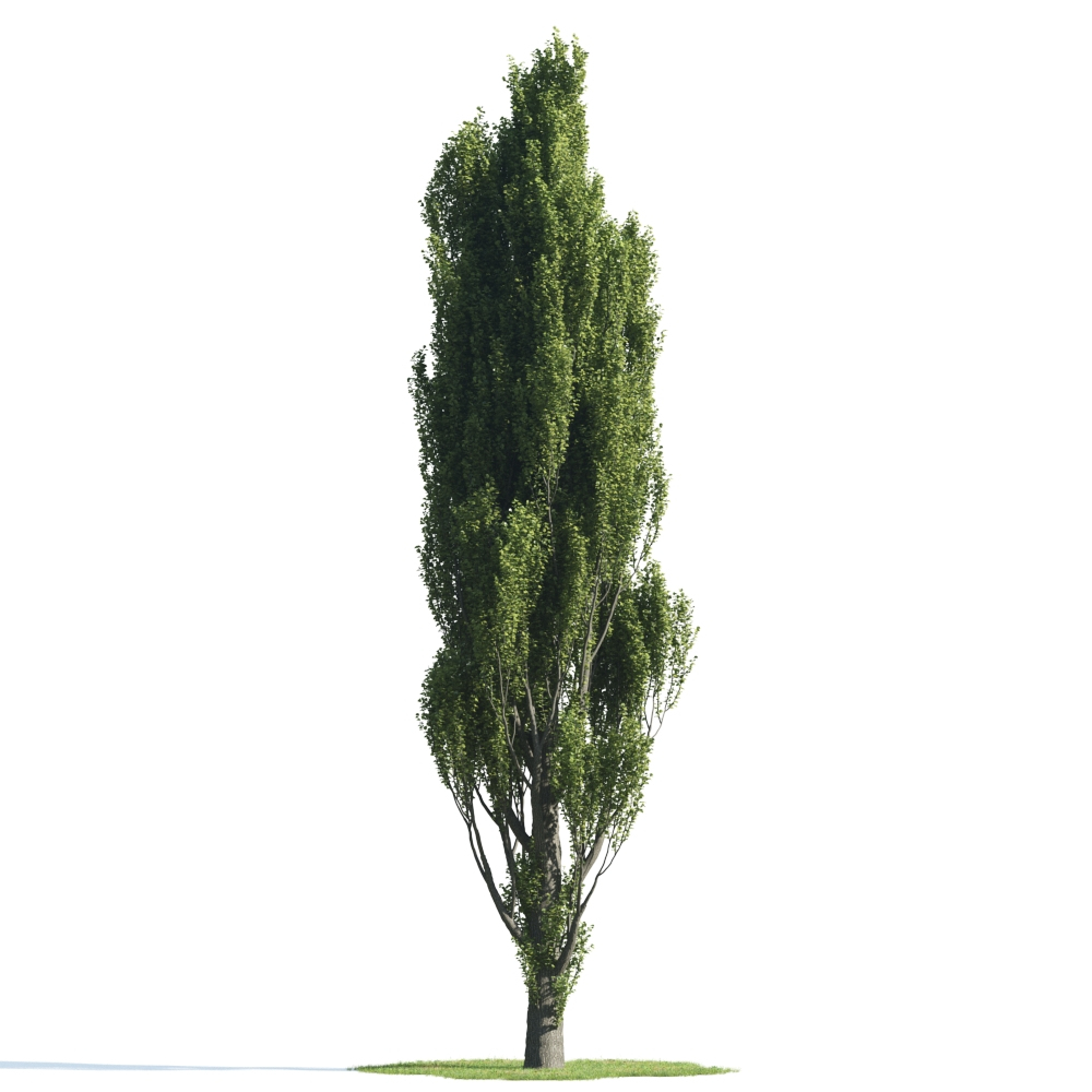 max archmodels vol 176 trees