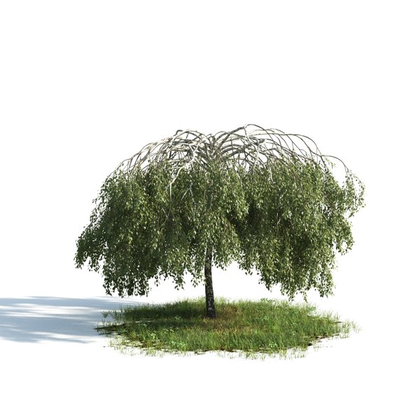 max archmodels vol 176 trees