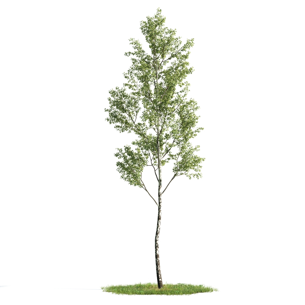 max archmodels vol 176 trees