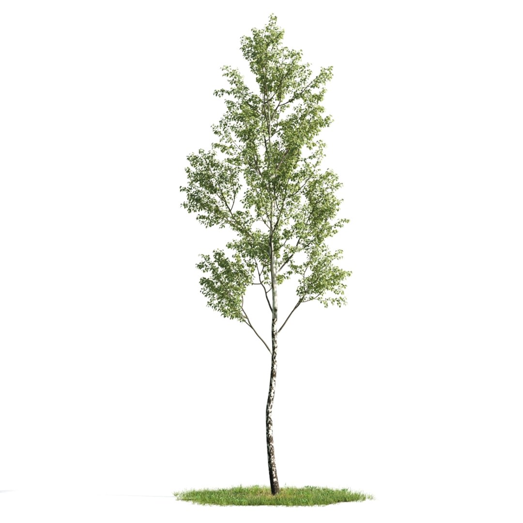 max archmodels vol 176 trees