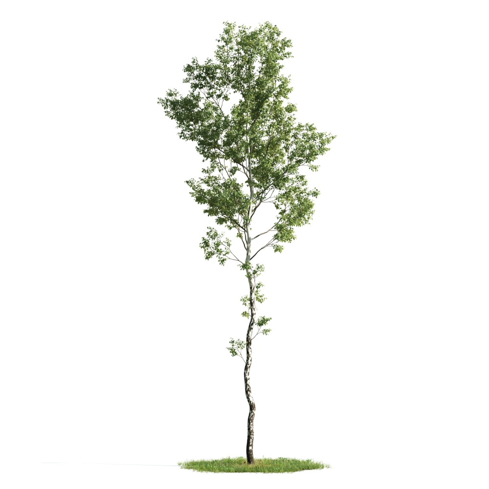 max archmodels vol 176 trees