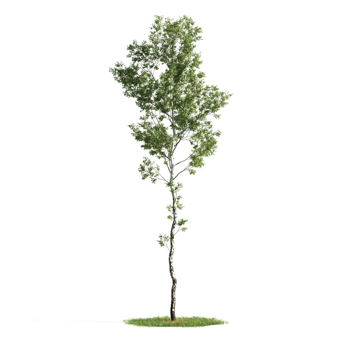 max archmodels vol 176 trees