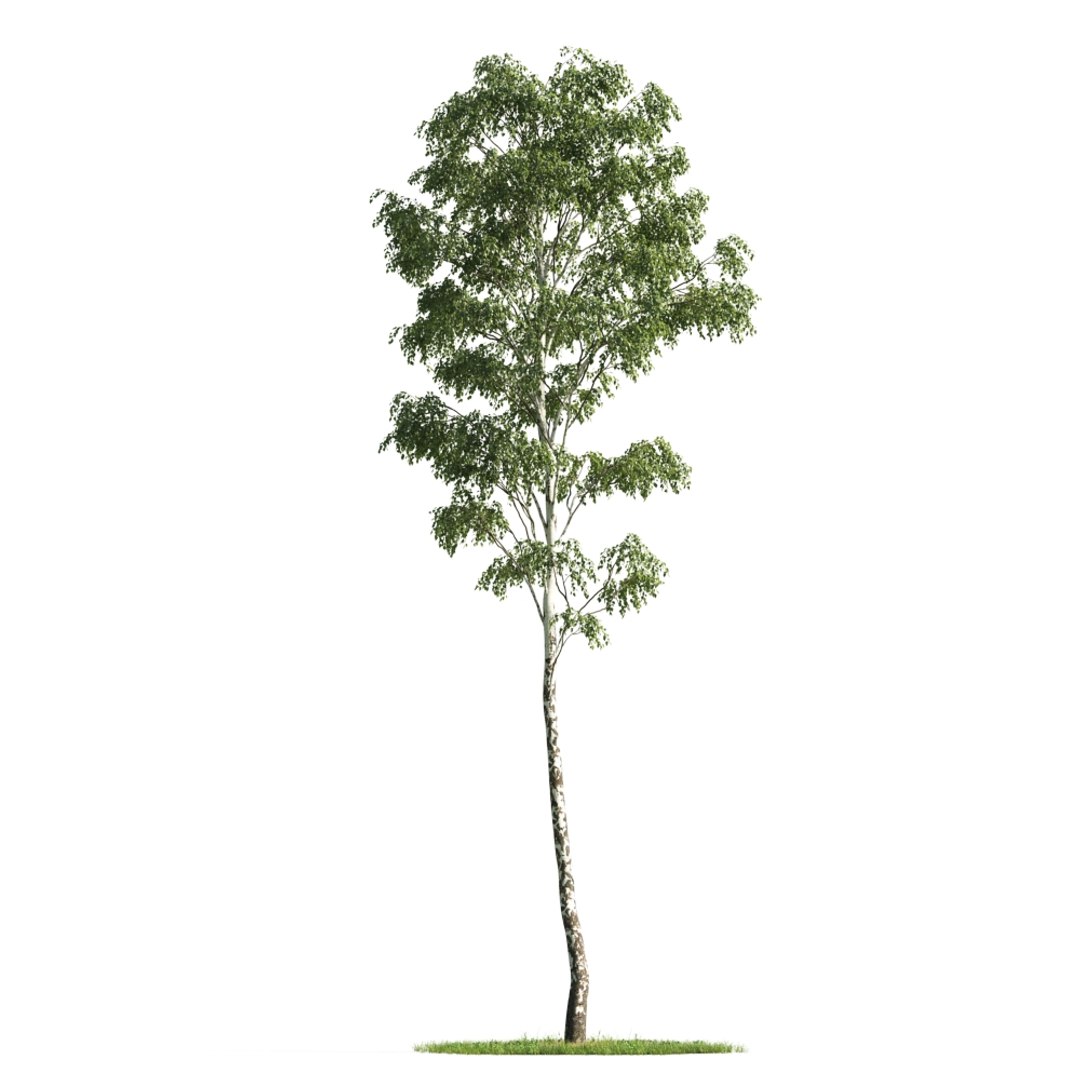 max archmodels vol 176 trees