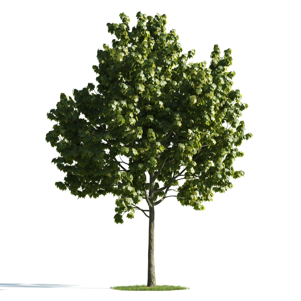 max archmodels vol 176 trees