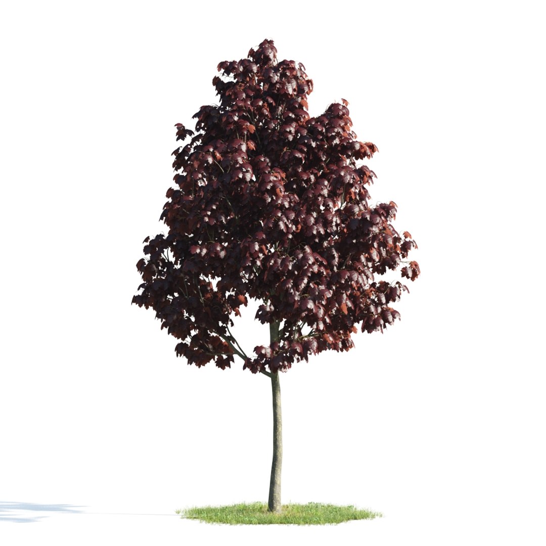 max archmodels vol 176 trees