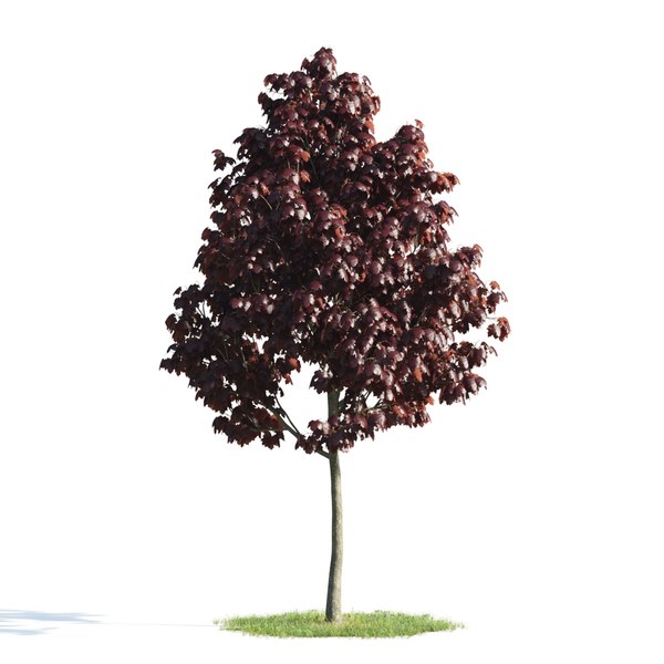 max archmodels vol 176 trees