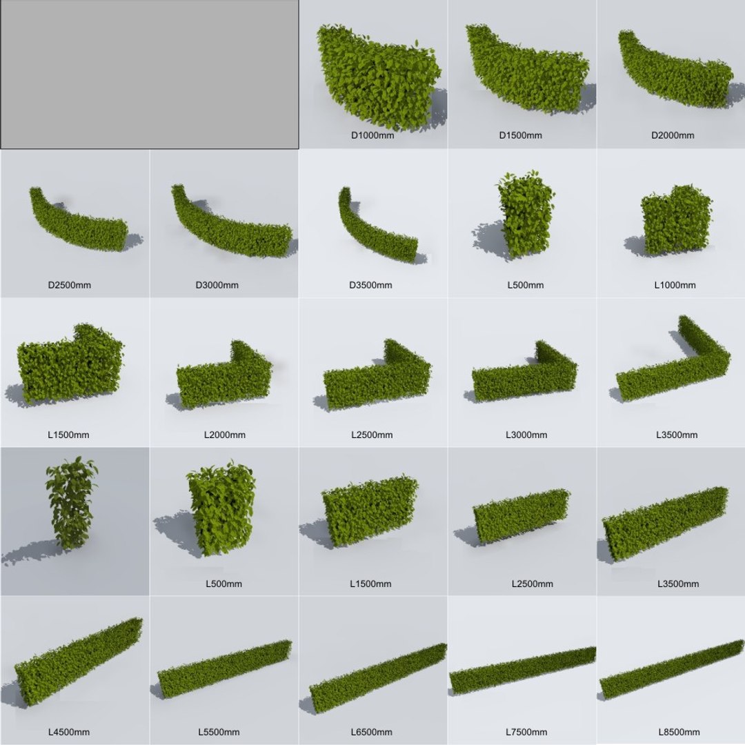 Hedge 3d Model