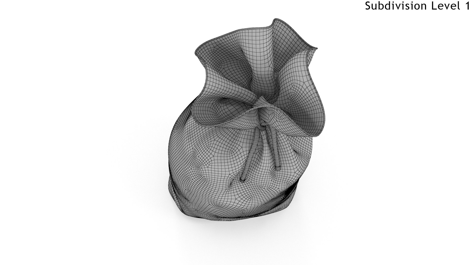 Money Bag 3D model - TurboSquid 1966942