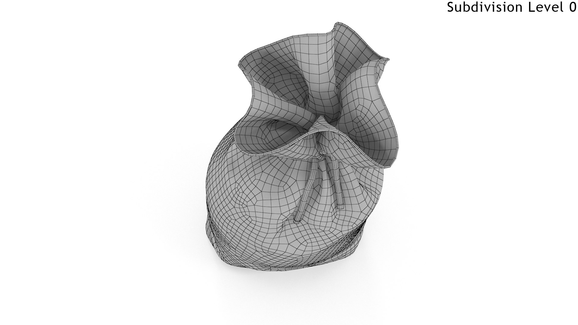 Money Bag 3D model - TurboSquid 1966942