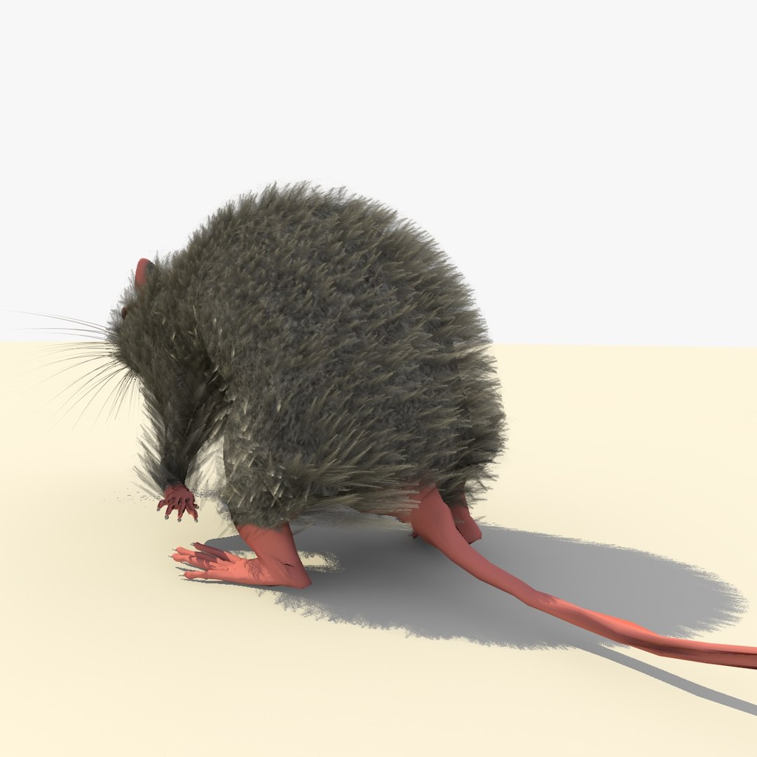 Grey Running Mouse Animations C4d