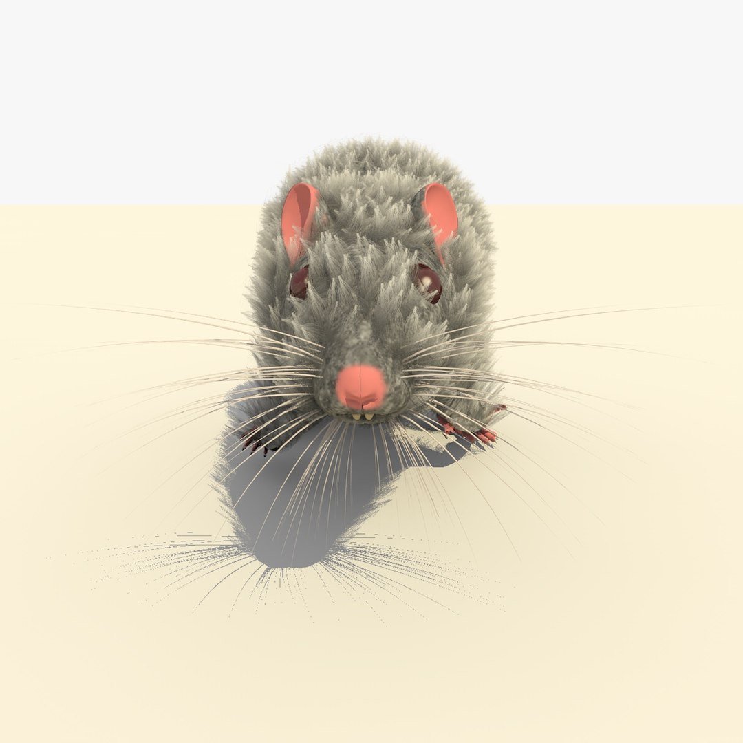 Grey Running Mouse Animations C4d