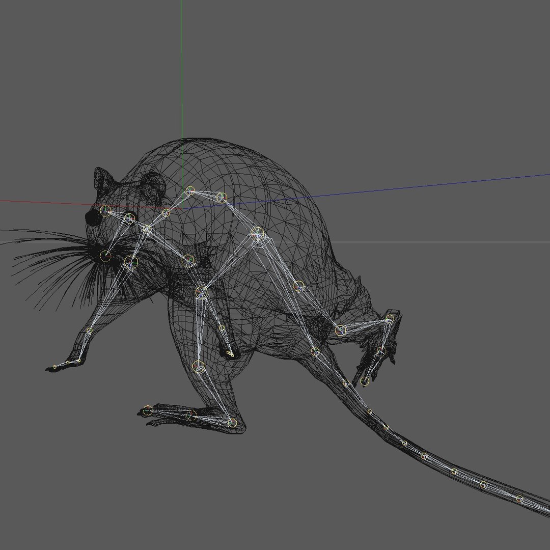 grey running mouse animations c4d