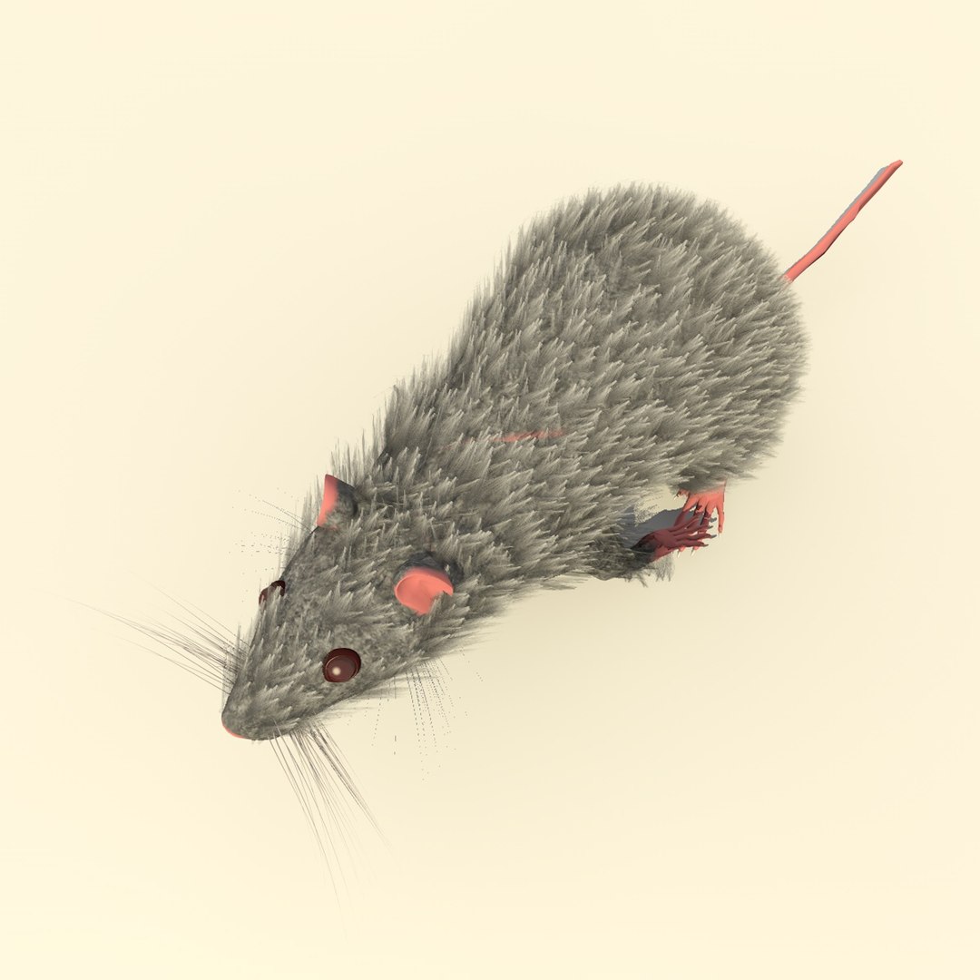 Grey Running Mouse Animations C4d
