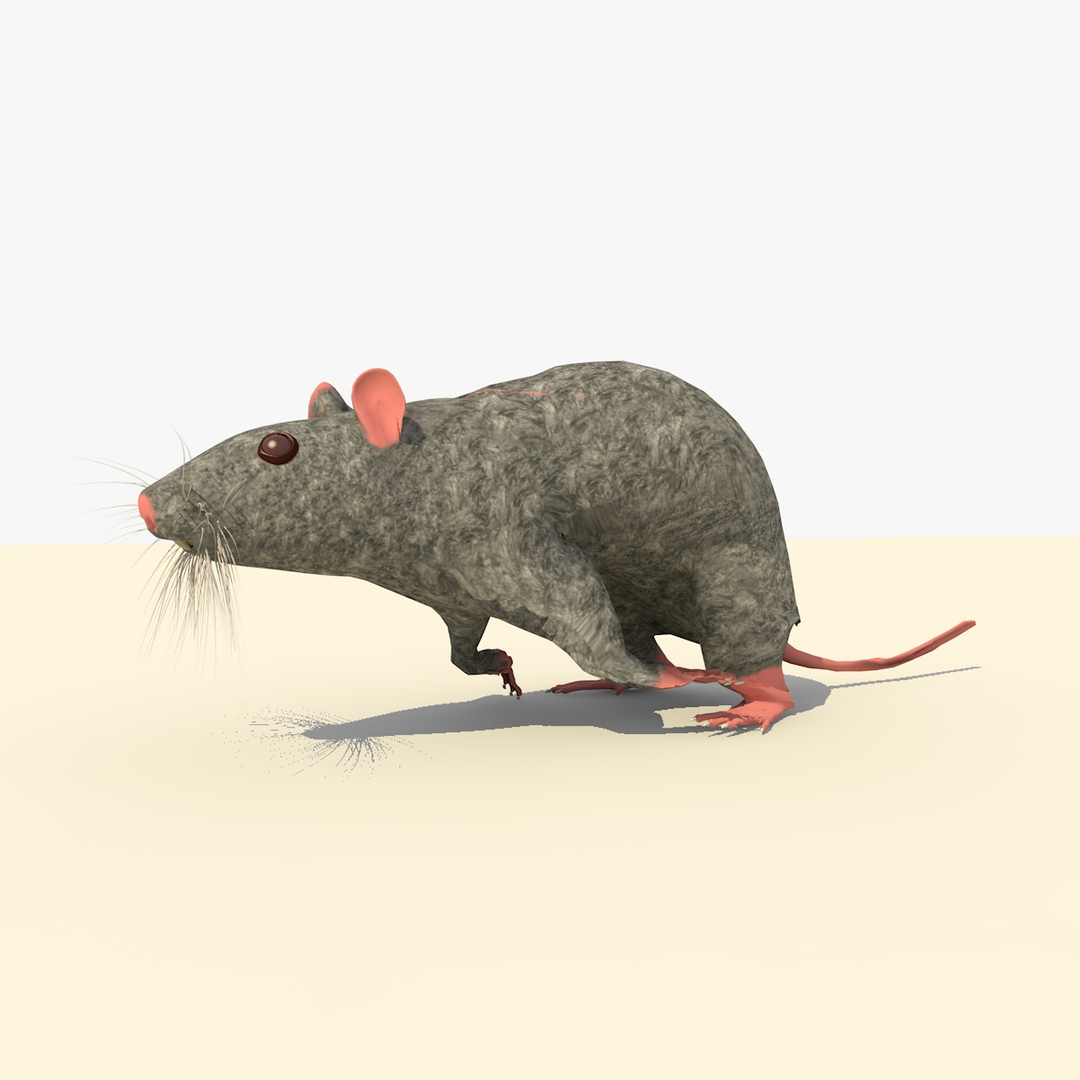 Grey Running Mouse Animations C4d