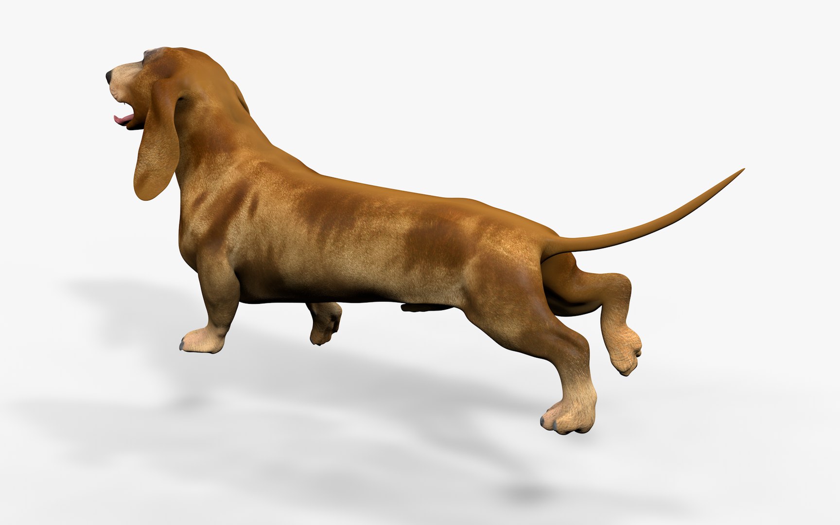 3D Dachshund Rigged L1812 - TurboSquid 1963899