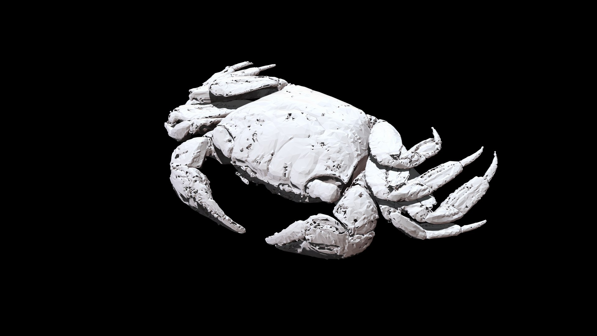 Crab 3D CT Scan Model Low Poly 3D Model - TurboSquid 1801783