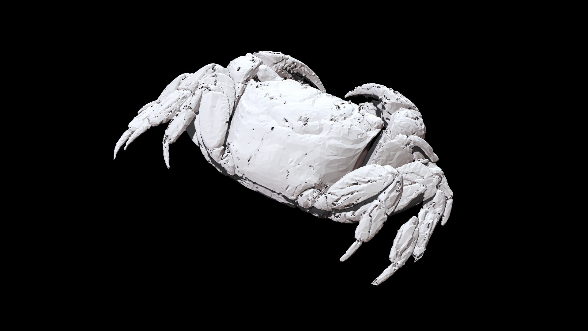 Crab 3D CT Scan Model Low Poly 3D Model - TurboSquid 1801783