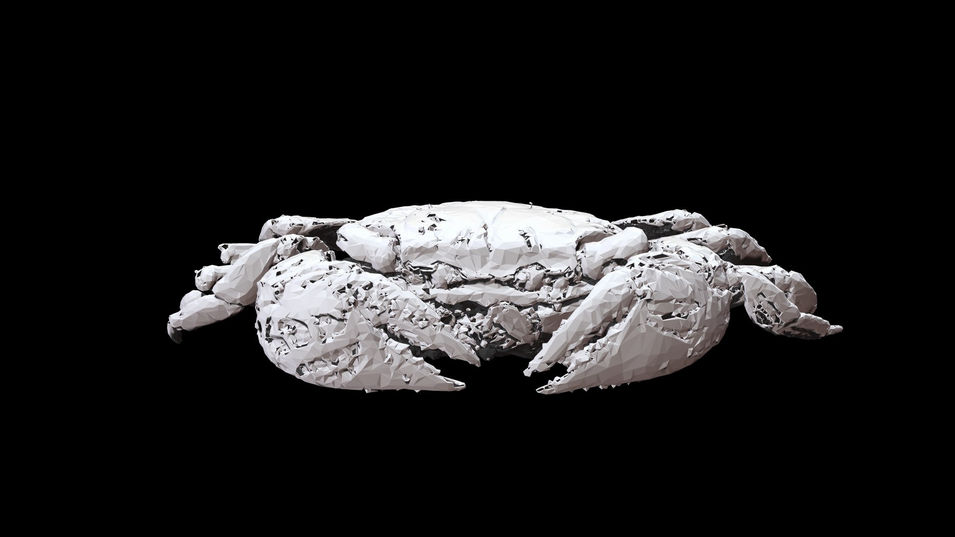 Crab 3D CT Scan Model Low Poly 3D Model - TurboSquid 1801783