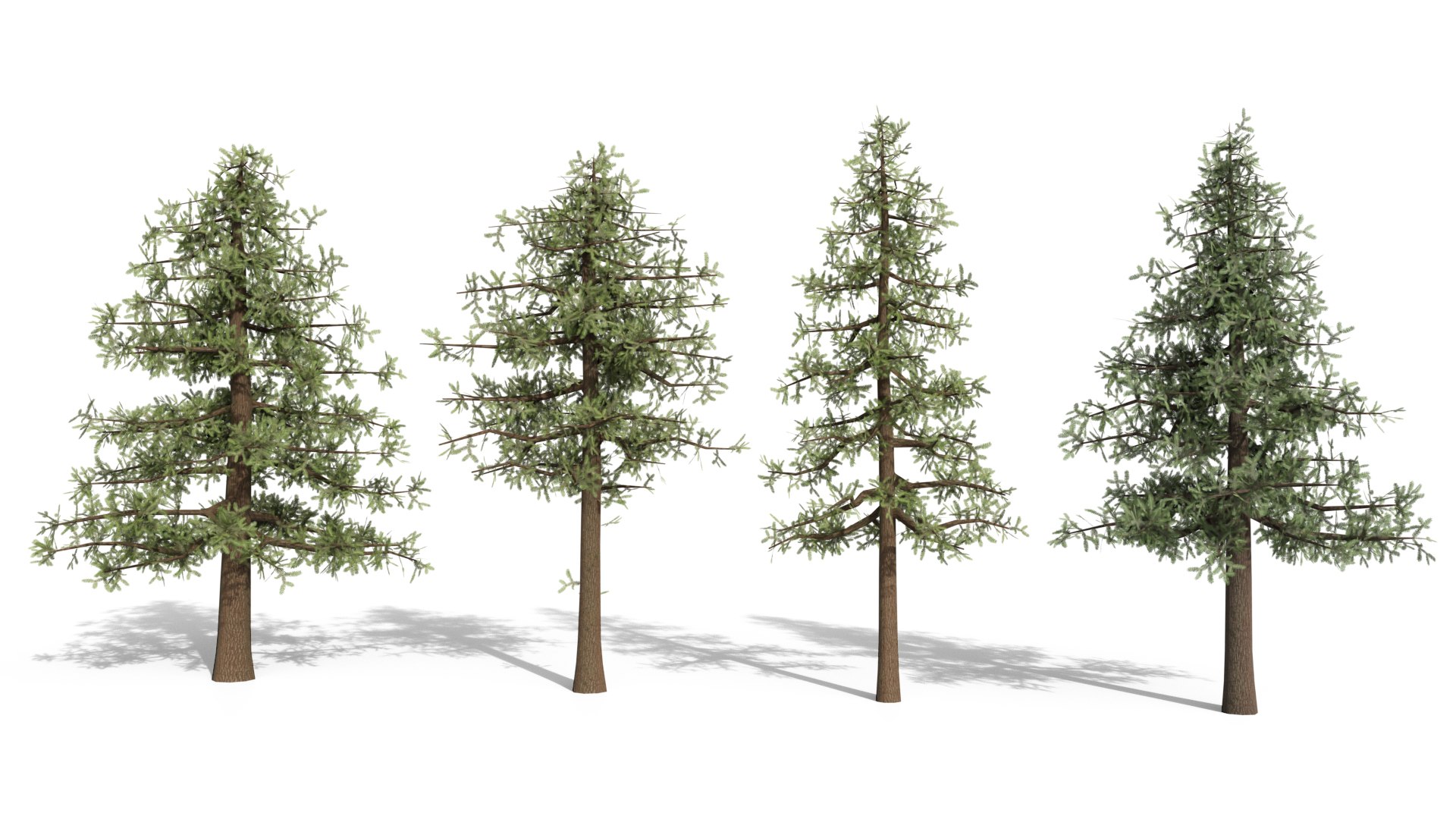 Pine Trees - Forest Set 3D Model - TurboSquid 2065023