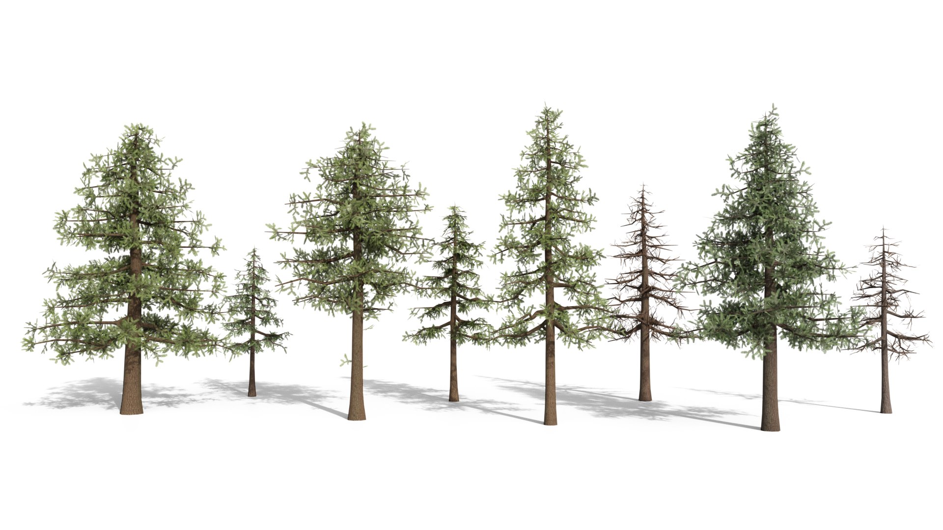 Pine Trees - Forest Set 3D Model - TurboSquid 2065023