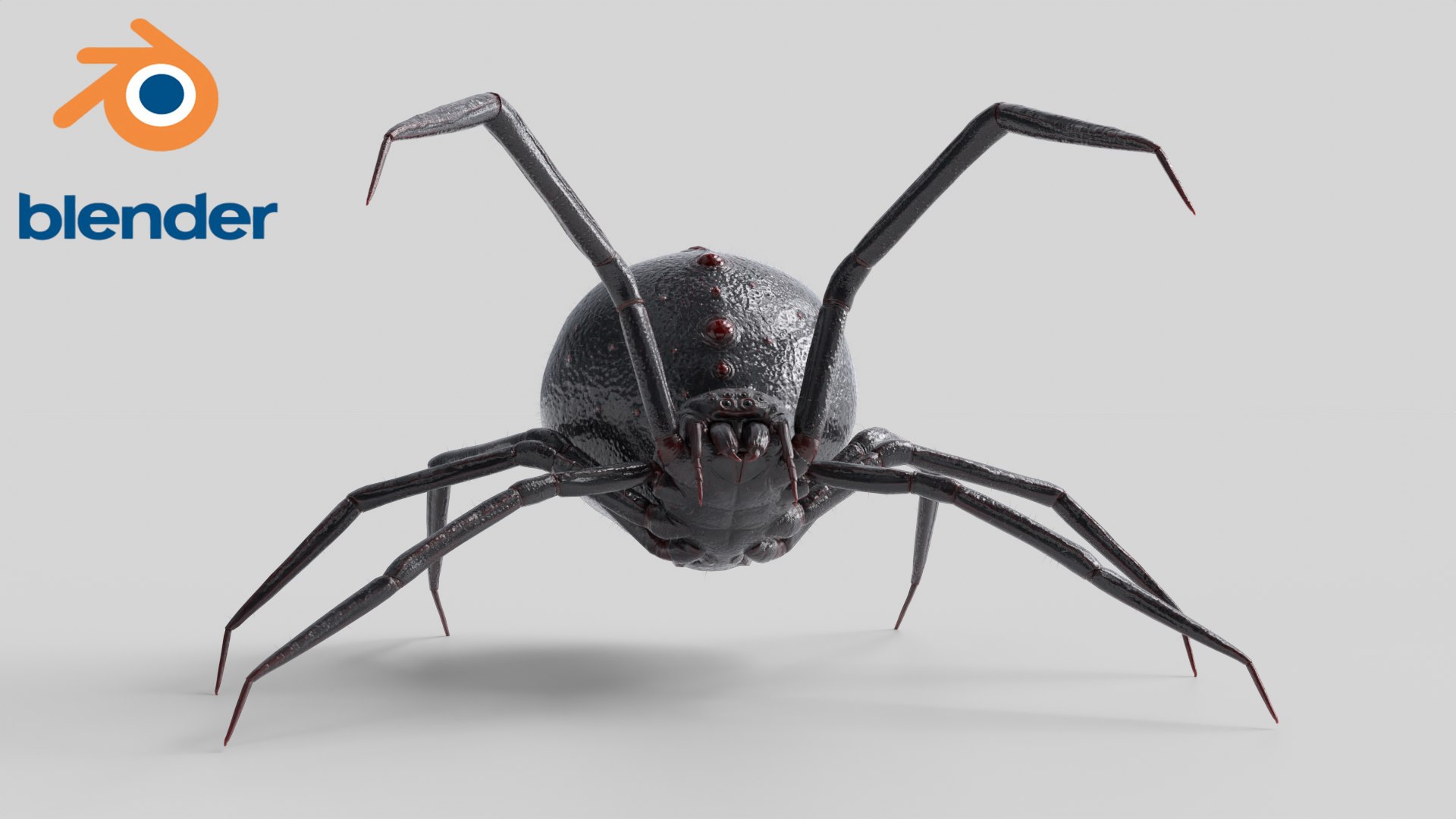 Spider Model - TurboSquid 2148854