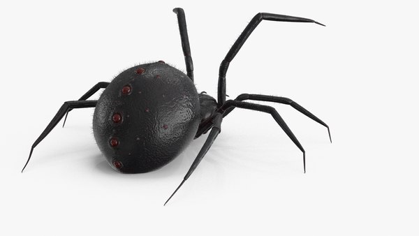modelo 3d Araña - TurboSquid 2148854