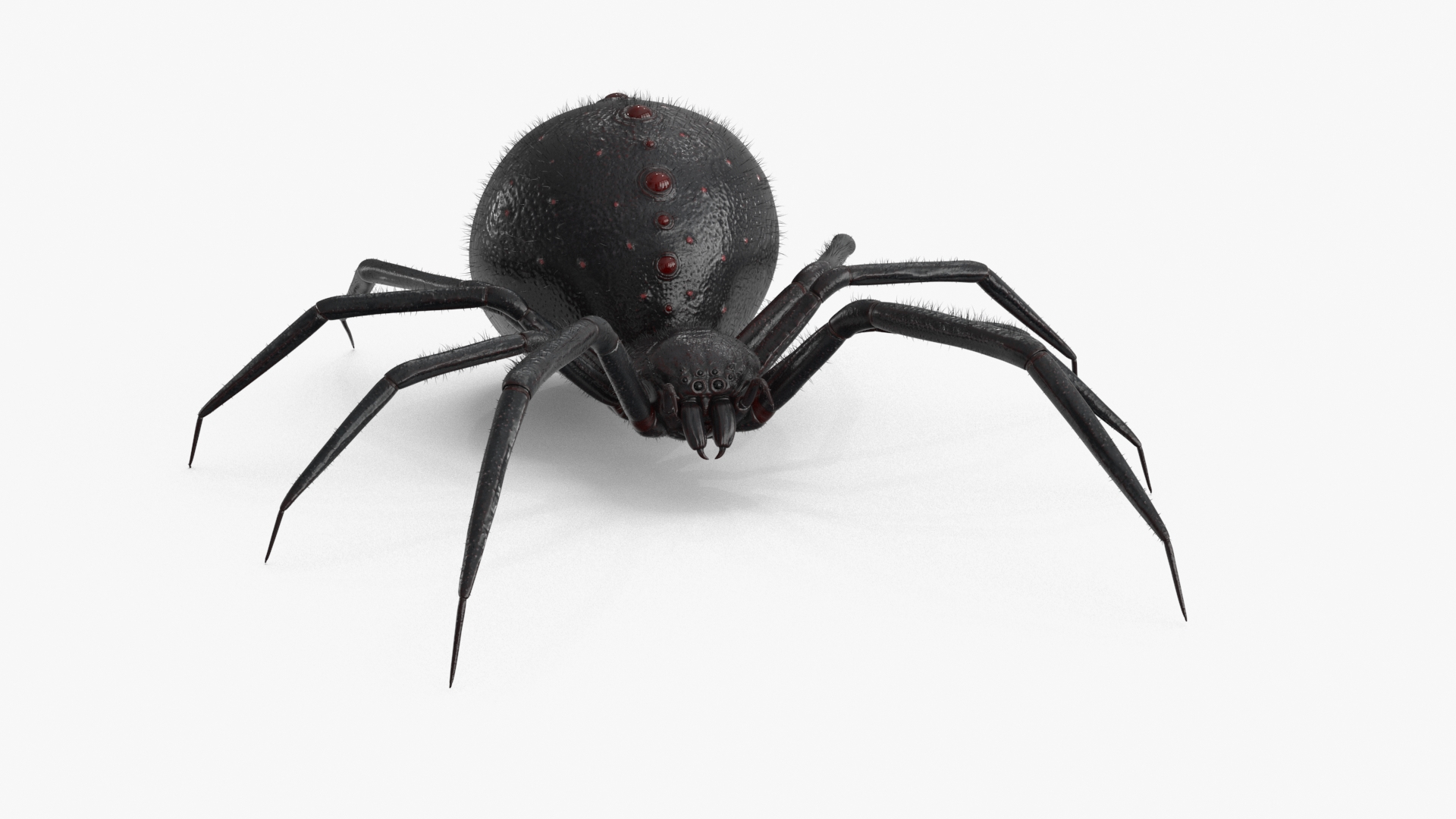 Spider Model - TurboSquid 2148854