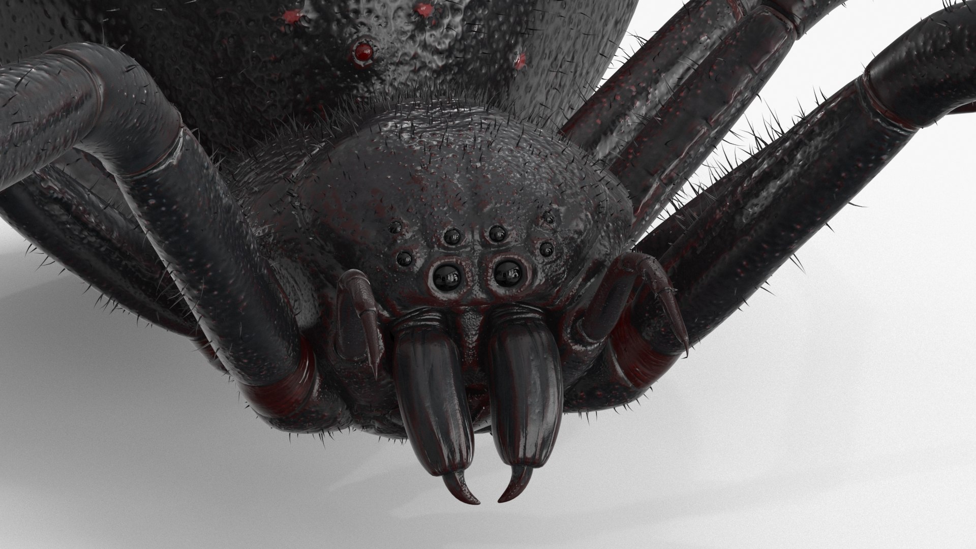 Spider Model - TurboSquid 2148854
