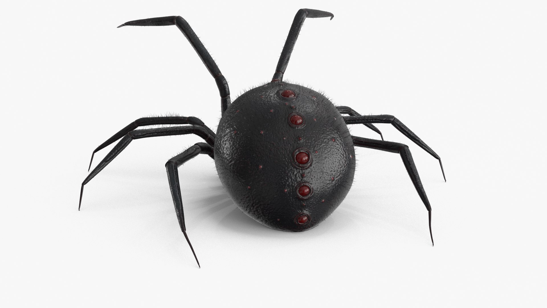 Spider Model - TurboSquid 2148854