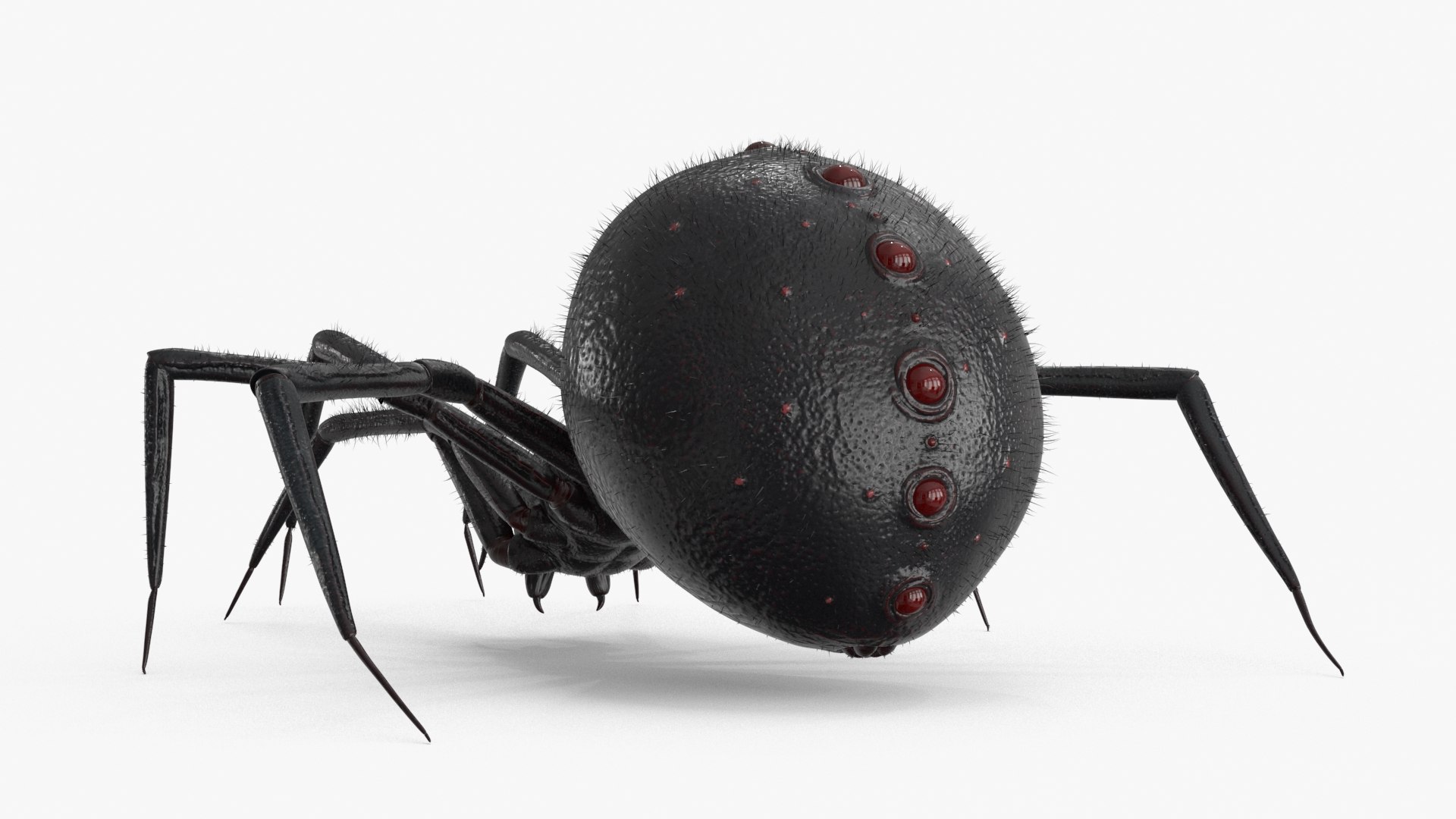 Spider Model - TurboSquid 2148854