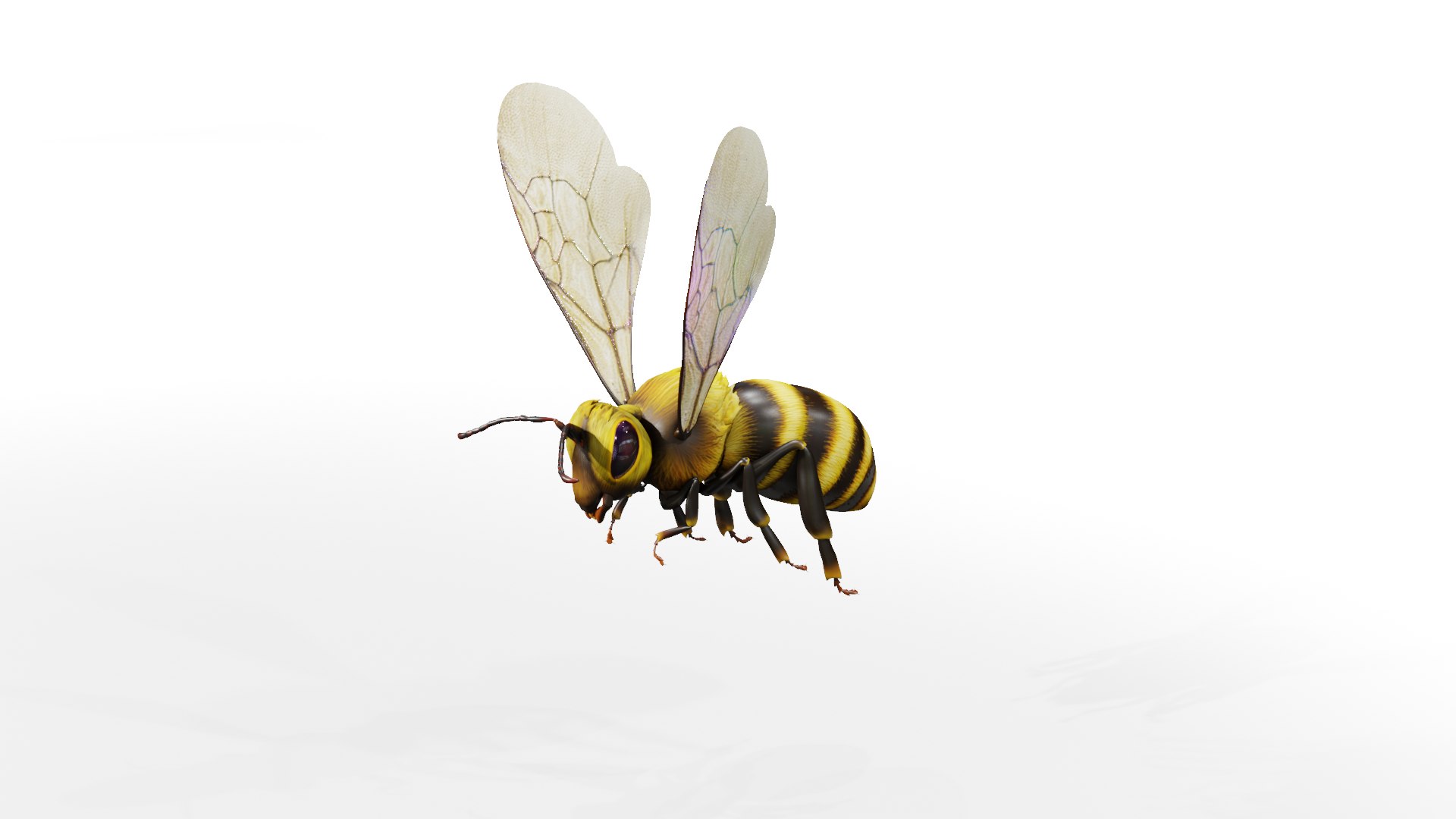 3D Model Detailed Animated Honey Bee - TurboSquid 2093598