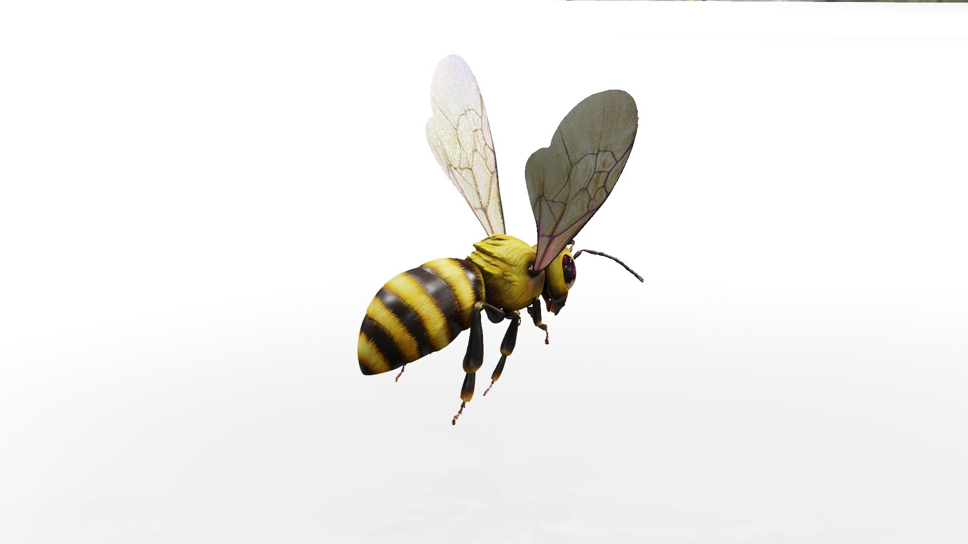 3D Model Detailed Animated Honey Bee - TurboSquid 2093598
