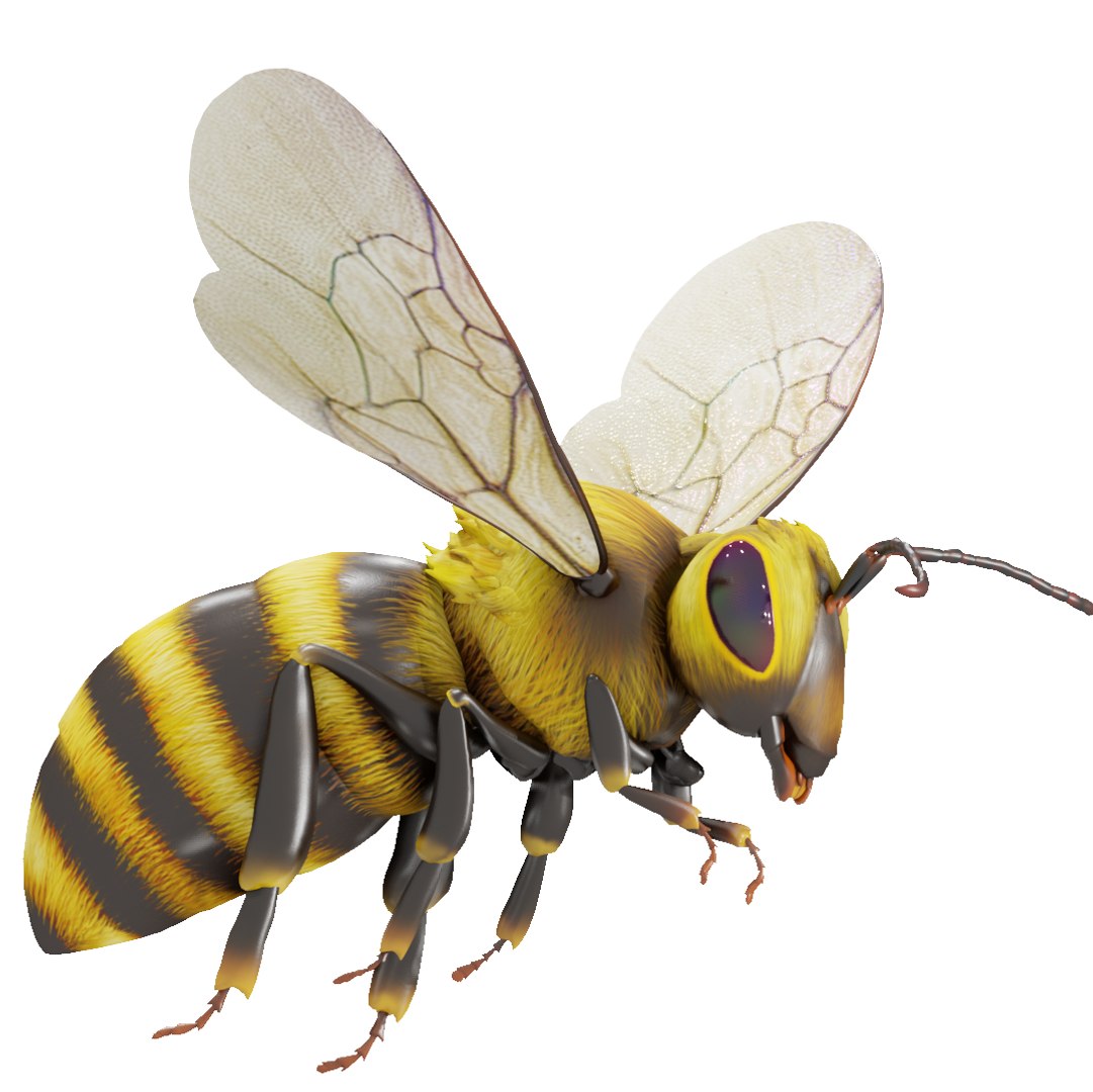 3D Model Detailed Animated Honey Bee - TurboSquid 2093598