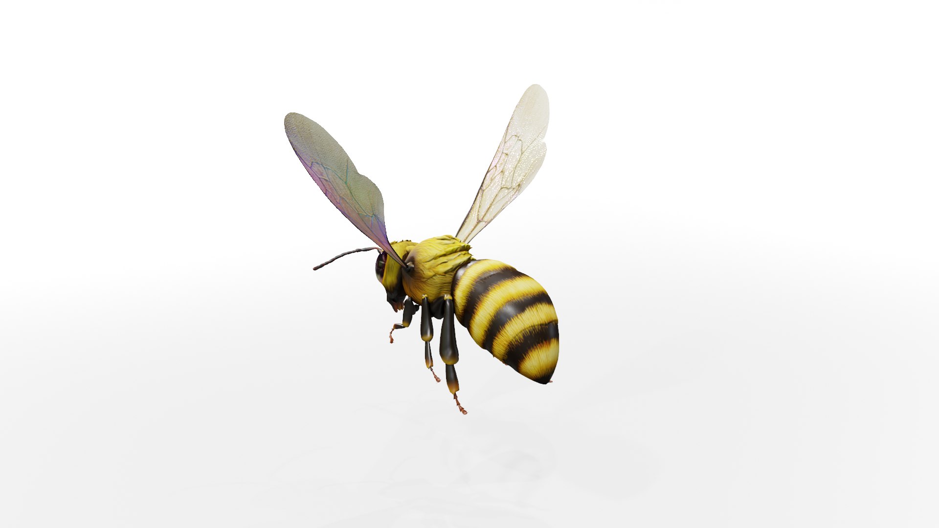 3D Model Detailed Animated Honey Bee - TurboSquid 2093598