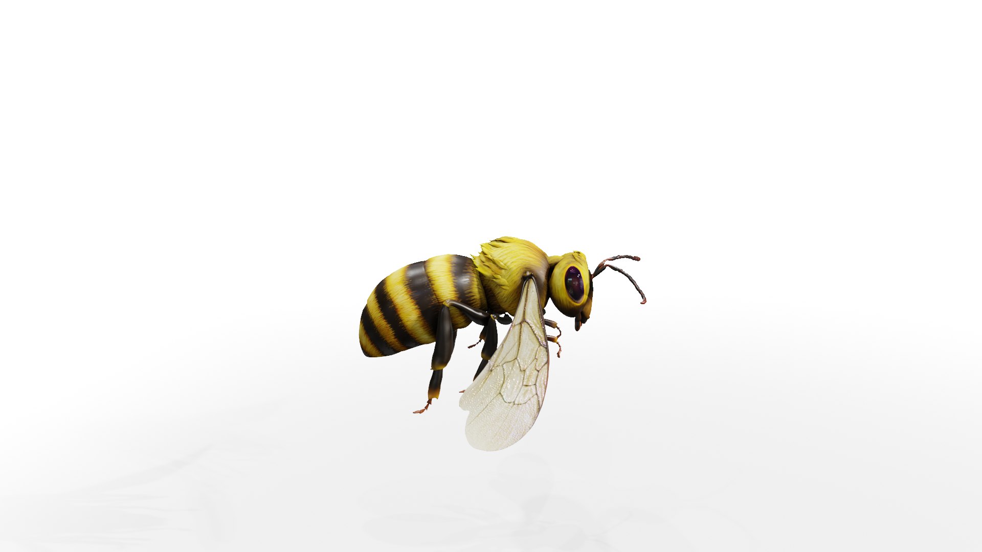 3D Model Detailed Animated Honey Bee - TurboSquid 2093598