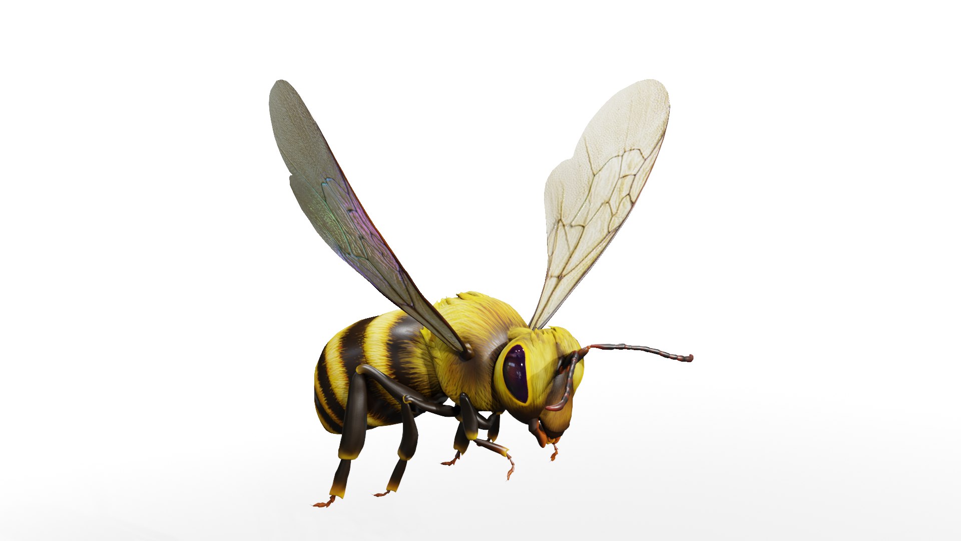 3D Model Detailed Animated Honey Bee - TurboSquid 2093598
