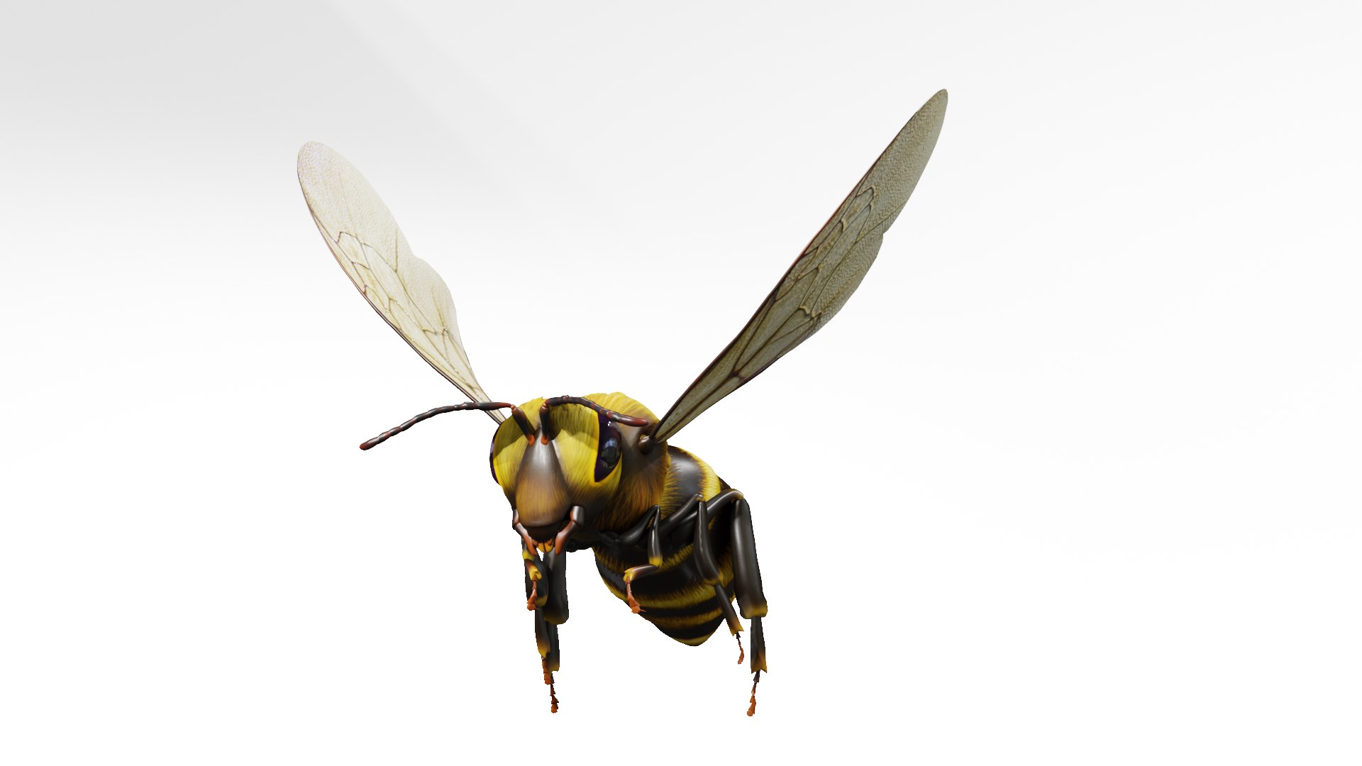 3D Model Detailed Animated Honey Bee - TurboSquid 2093598