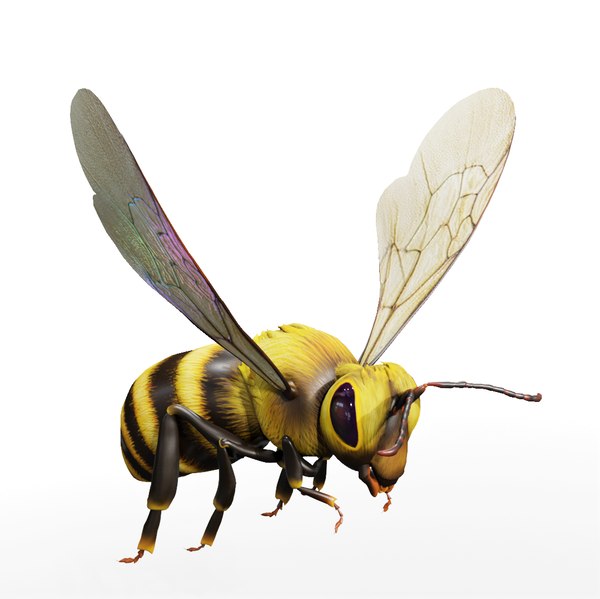 Detailed Animated Honey Bee 3D 모델 - TurboSquid 2093598