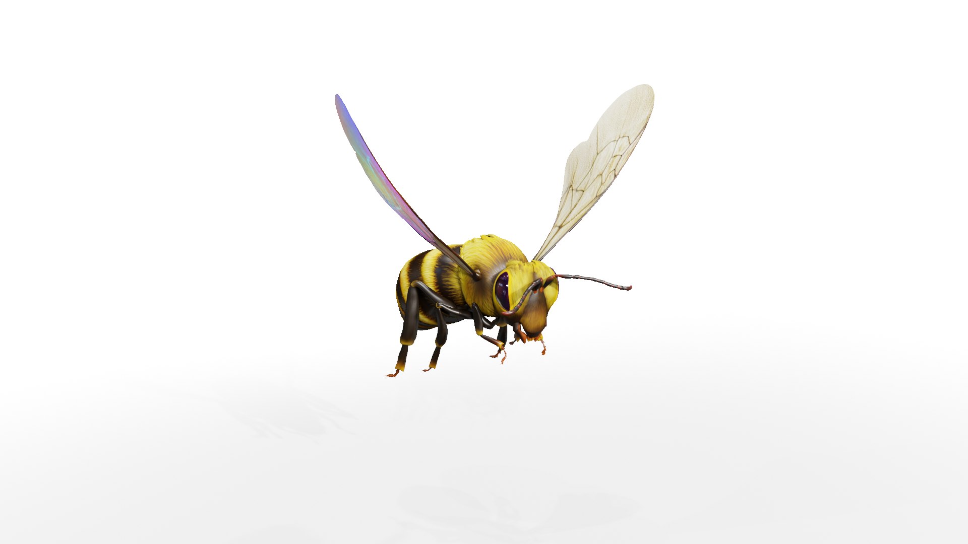 3D Model Detailed Animated Honey Bee - TurboSquid 2093598