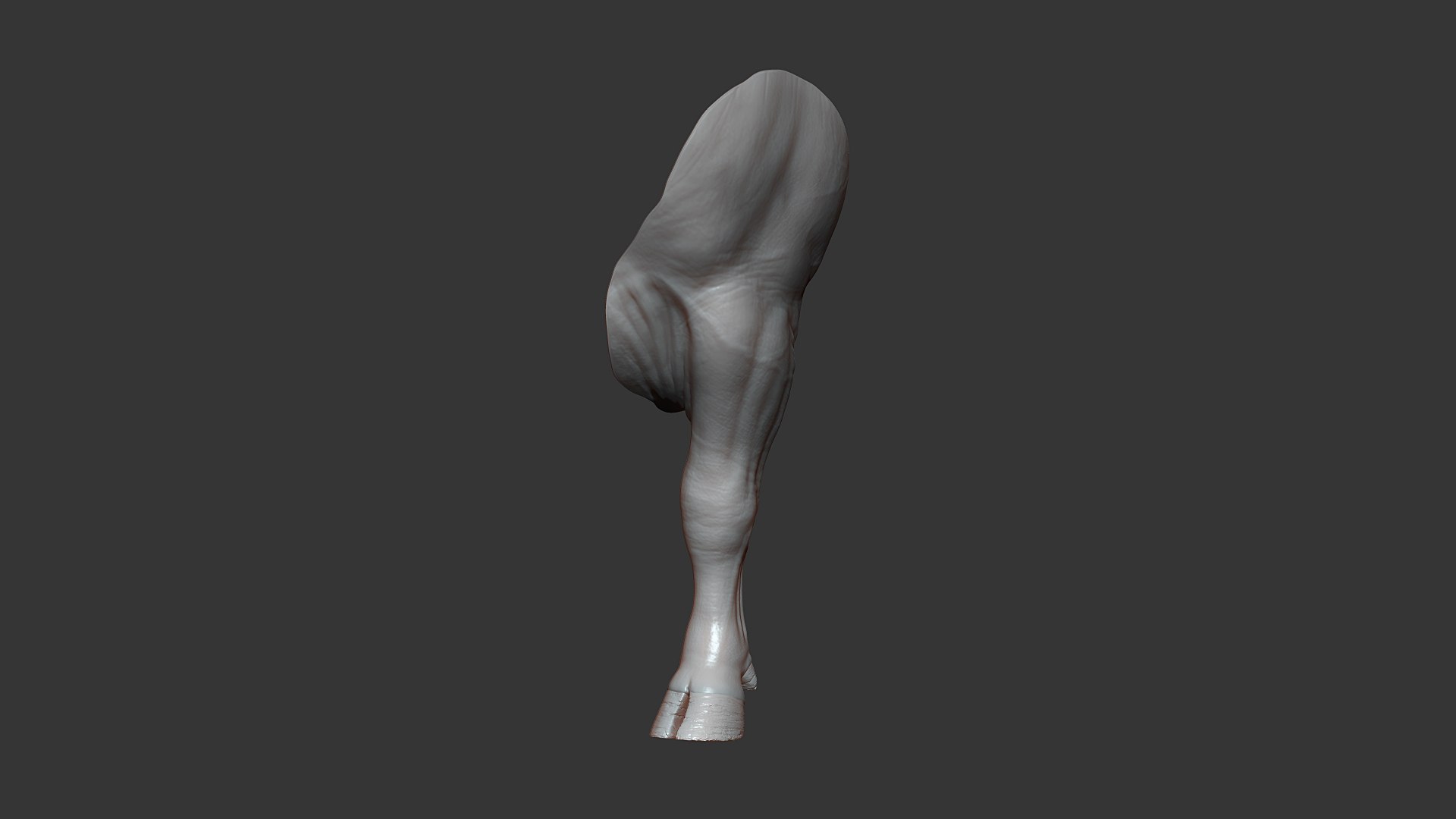 3D Bull Front Leg Highpoly Sculpt Model - TurboSquid 1809065