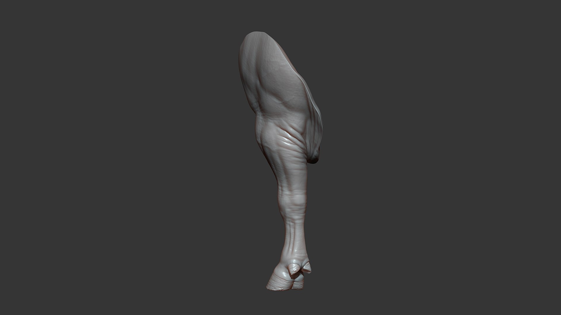 3D Bull Front Leg Highpoly Sculpt Model - TurboSquid 1809065